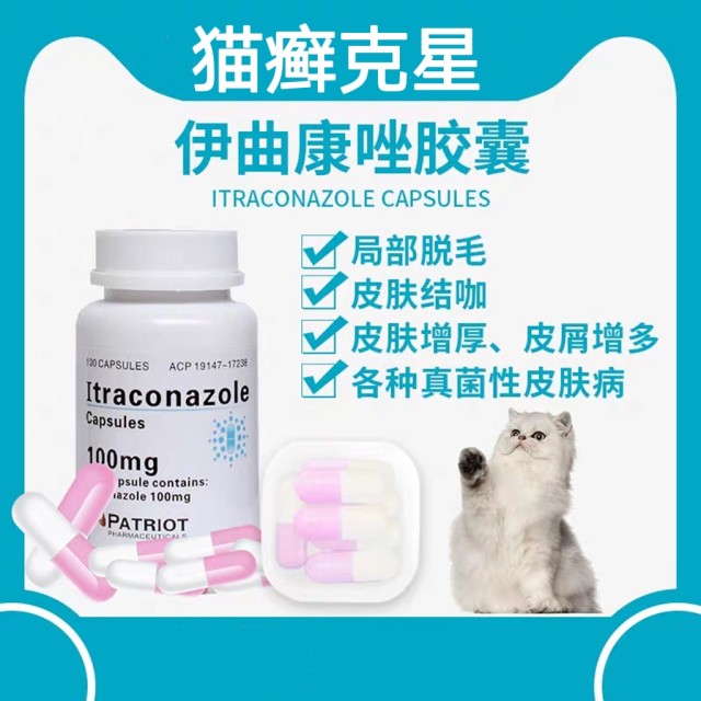 Cat tinea, itraconazole capsules, oral pet tinea, cat tinea, dog tinea ...