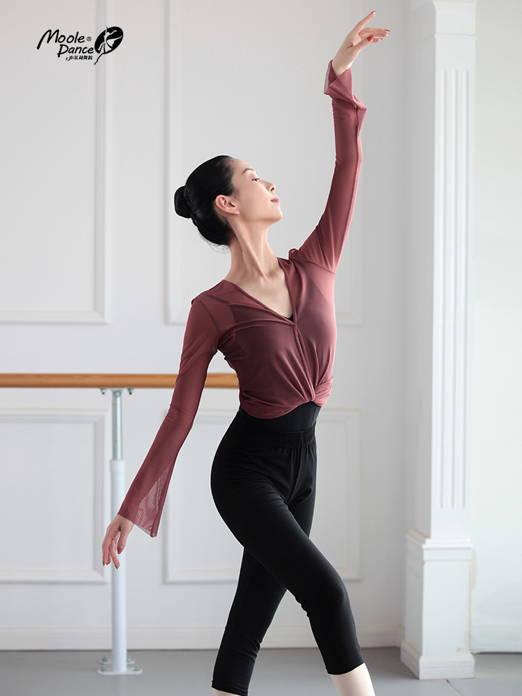 Mooledance Women's Classical Dance Top - Mesh Gauze Ballet Practice ...