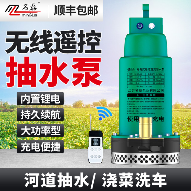 Wireless remote control water pump small lithium battery rechargeable ...