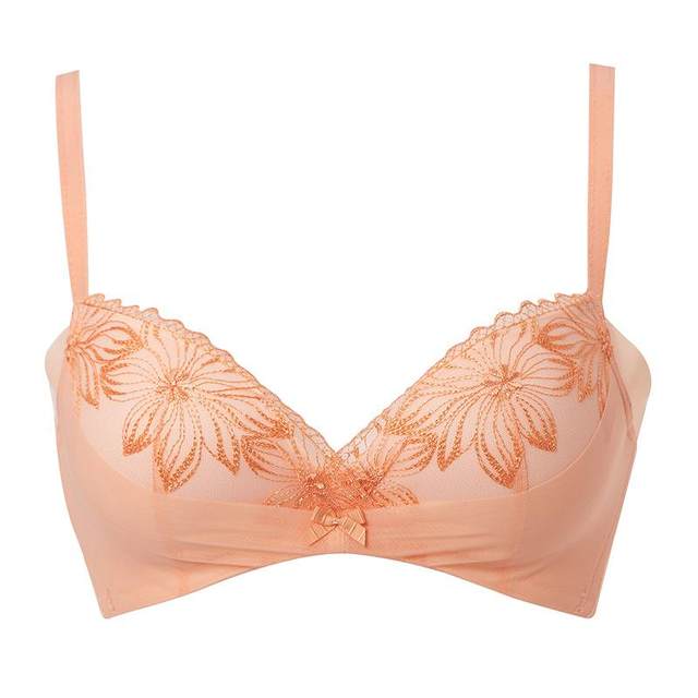 Triumph/Triumph wire-free embroidered breast-shrinking lace push-up bra 11-1660