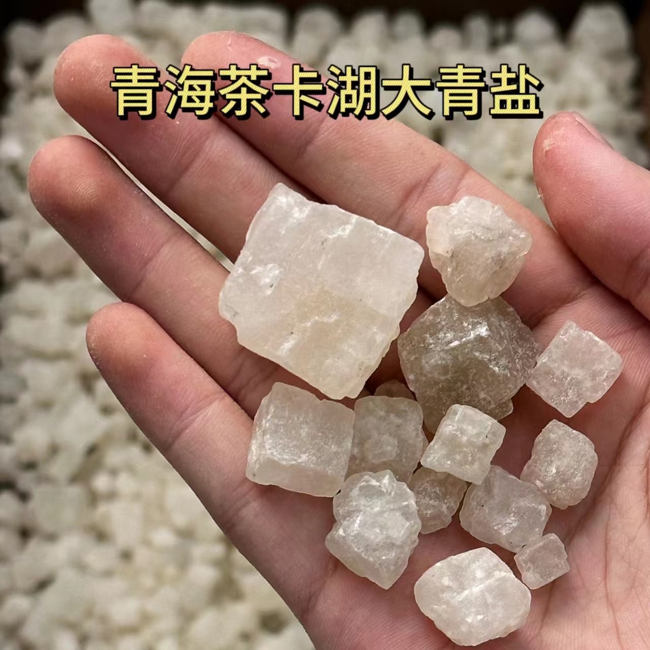 Master Sanshi Qing Ni recommends green salt aconite powder, traditional ...