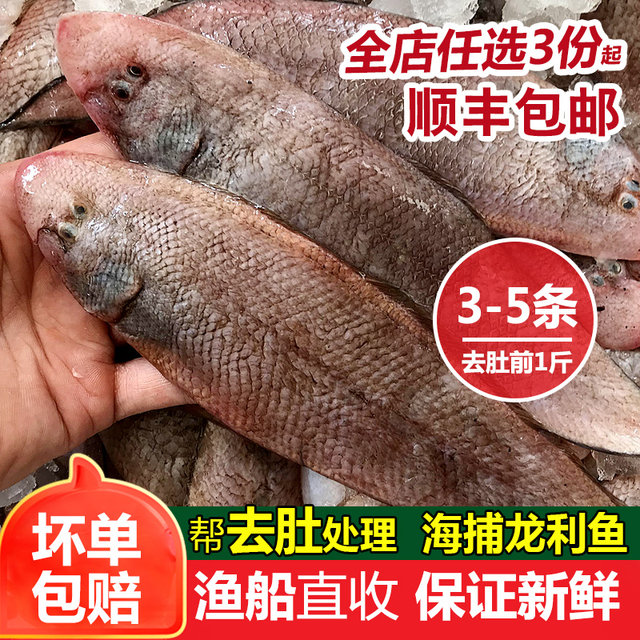 Longli fish, fresh frozen Chaoshan seafood, aquatic products, non ...