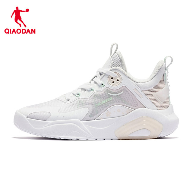 Aurora 2.0 Chinese Jordan Shoes Female 2024 Winter Shoes New Shoes ...