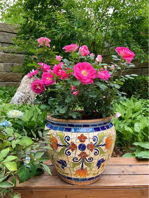 Rose Town Magraca's high -end courtyard flower pot green plantation ...