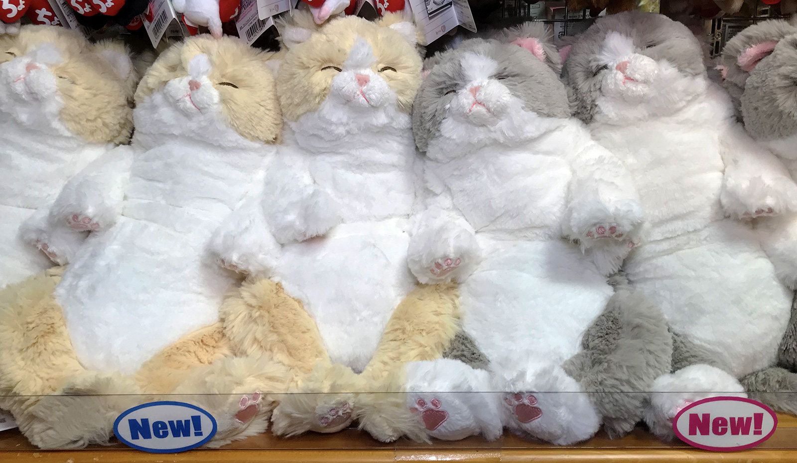 Japanese genuine Sunlemon's sleeping cat snoring cat plush dolls soothe the doll soft gift