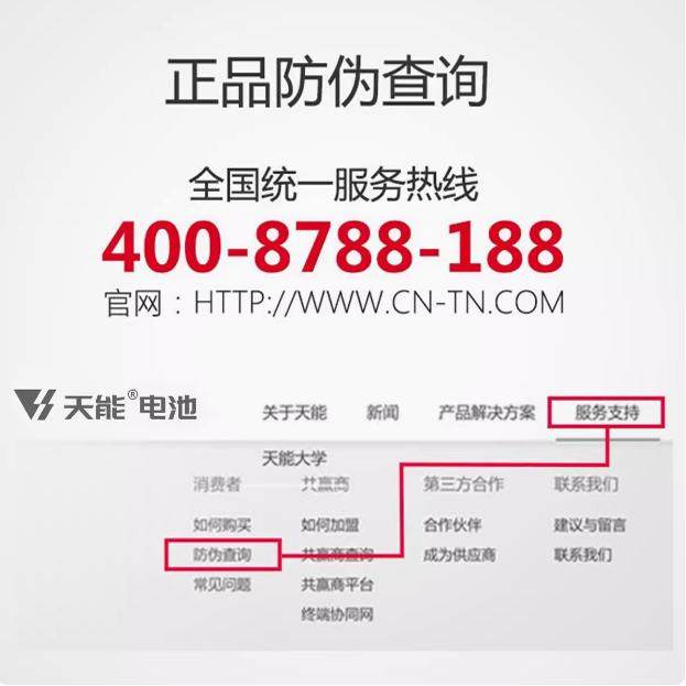 Tianneng Battery A+ 48V60V72V Electric Vehicle Graphene Battery Two ...