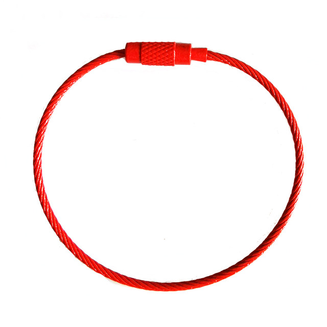 Wire rope key ring ring color spray paint rotating turnbuckle INS wind ...