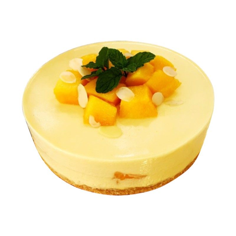 Fruit Mousse Cake Mix - Chocolate, Matcha & Mango Flavors - 100g