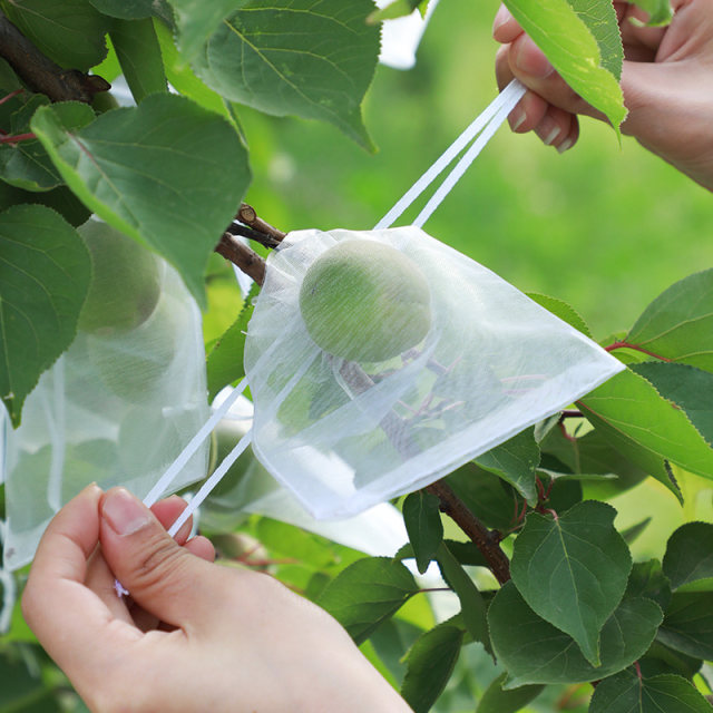 Fruit bagging, insect-proof and bird-proof bag, peach, apple, guava and ...