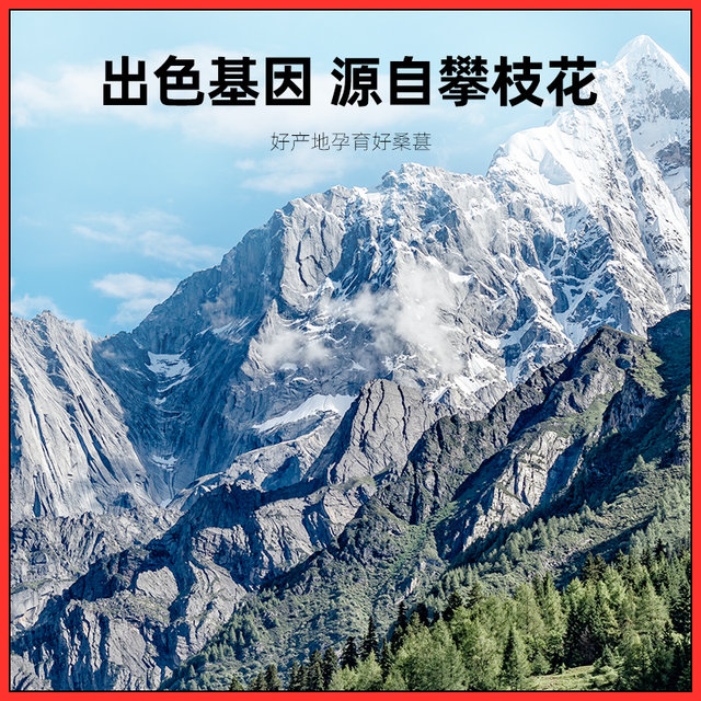 Qilixiang black mulberry puree 400ml pure mulberry juice puree mulberry ...