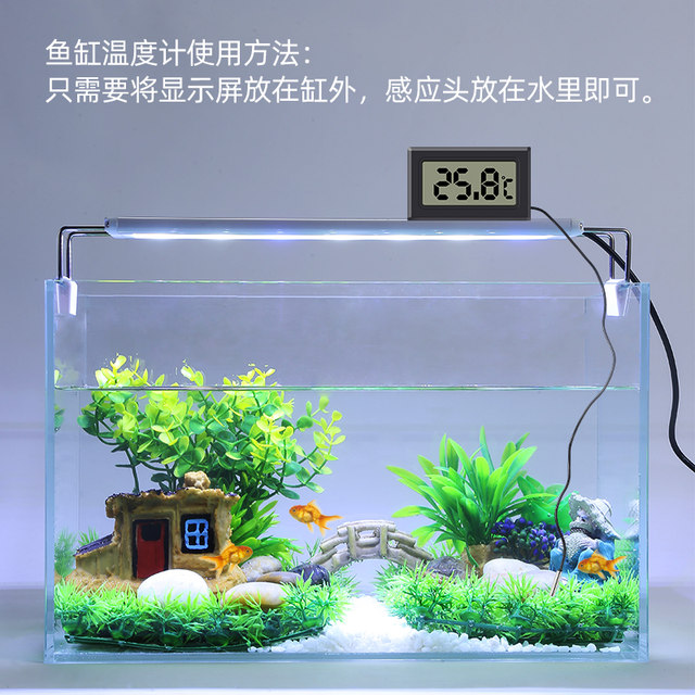 Electronic fish tank number showing thermometer High -precision high ...