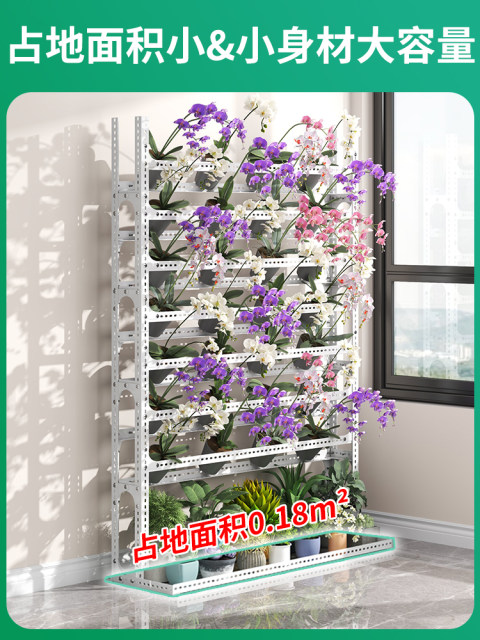 Corner Steel Phalaenopsis Grade Movement of Orchids indoor and outdoor ...