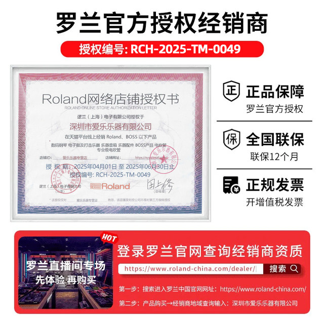 Roland Roland electric wind instrument AE01C AE05 electronic saxophone ...