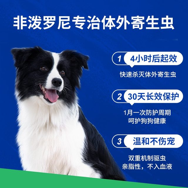 Border Collie's special dog anthelmintic drug, dog external ...