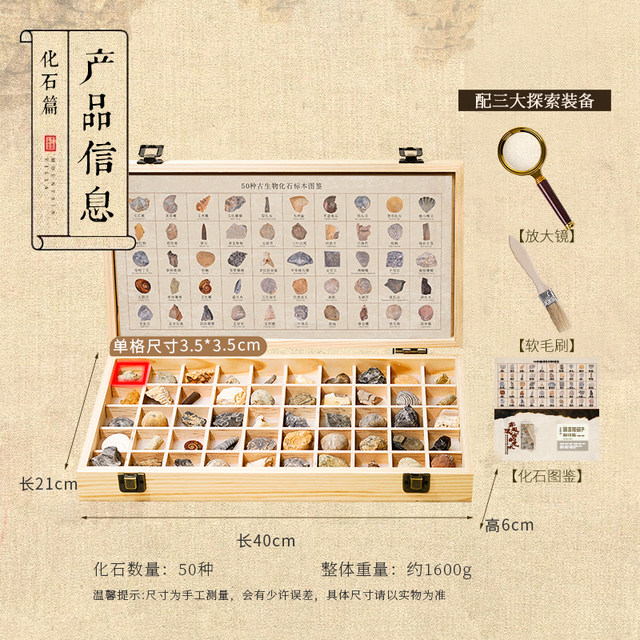 50 kinds of natural paleontological fossils, gift box ornaments ...