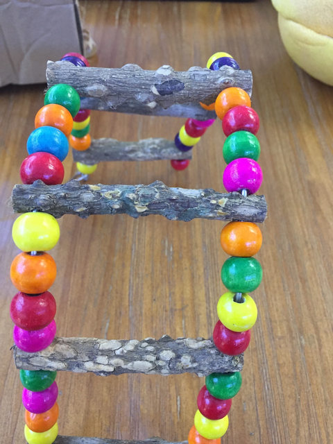 Parrot cloud ladder, bird toy, bird climbing training climbing scrub ...