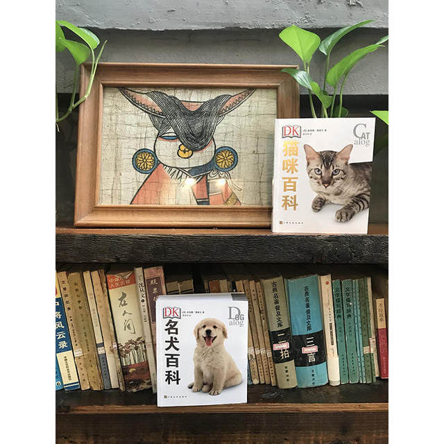 DK Cat Encyclopedia 70 Cat Science Pet Cat Illustrated Cat Feeding ...