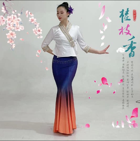 Adult Dai dance costume peacock dance fishtail skirt practice dance ...