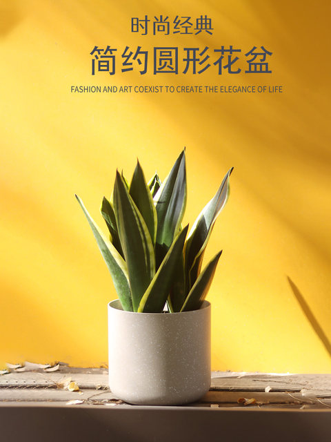 Flower pots, household straight pots for growing flowers, simple resin ...