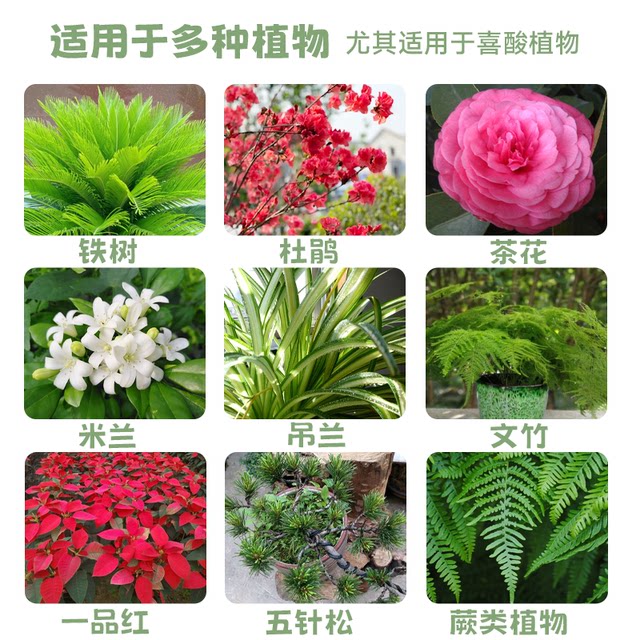Growth Magic Ferrous Sulfate Flower Fertilizer Water-soluble Fertilizer ...