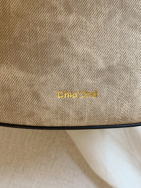 South Style Chio2nd Wandering Moon Saddle Bag 2025 New High-end Fashionable Bag Women's Single ...