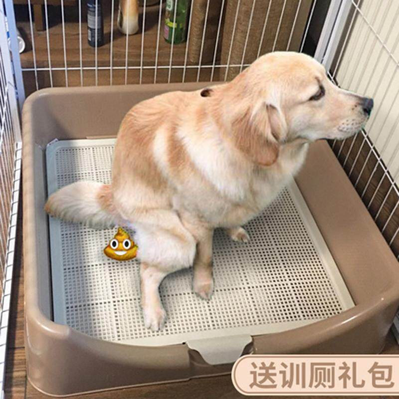 Hoopet Dog Potty - Large XL Size for Labrador & Medium/Large Breeds