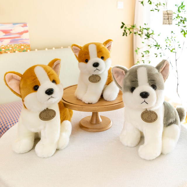 Puppy plush toy cute comfort doll corgi doll genuine healing girl sleep ...