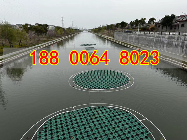 Ecological floating island biological artificial floating bed plant ...