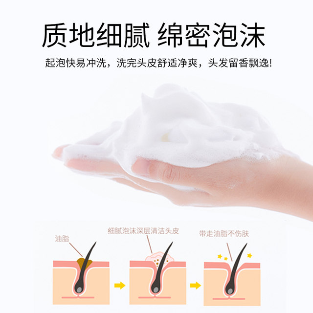 Adolf Shampoo, Oil Control, Anti-Dandruff Moisturizing 248ml*2 ...