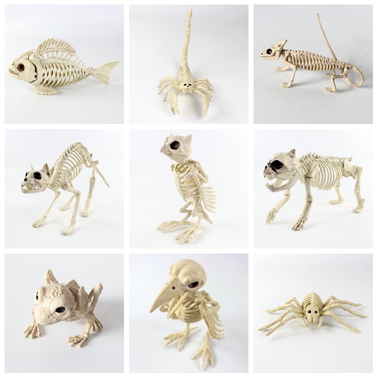 Animal Skeleton Snake Halloween Horror Haunted House Decoration - Bat ...