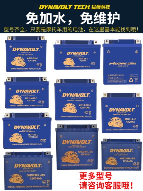 Mengshi motorcycle battery BMW ADV700/F800/1200/1250GS Yamaha FJR/XJR1300