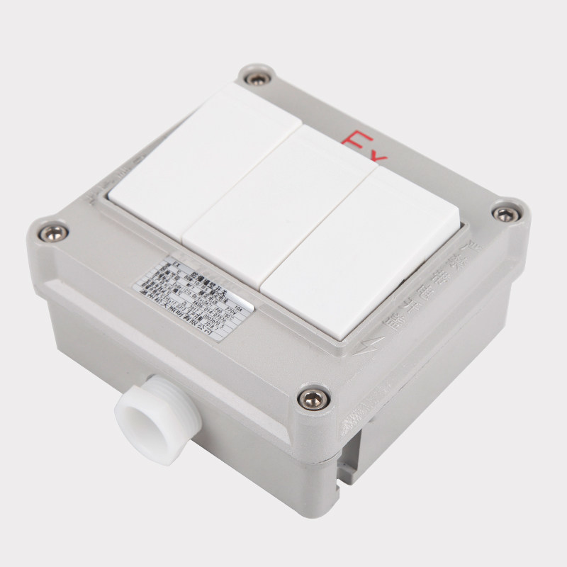Industrial Explosion-Proof Wall Switch 86 Type Single/Double/Triple ...