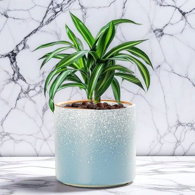 Nordic style ceramic flower pots large diameter gradient potted plant ...