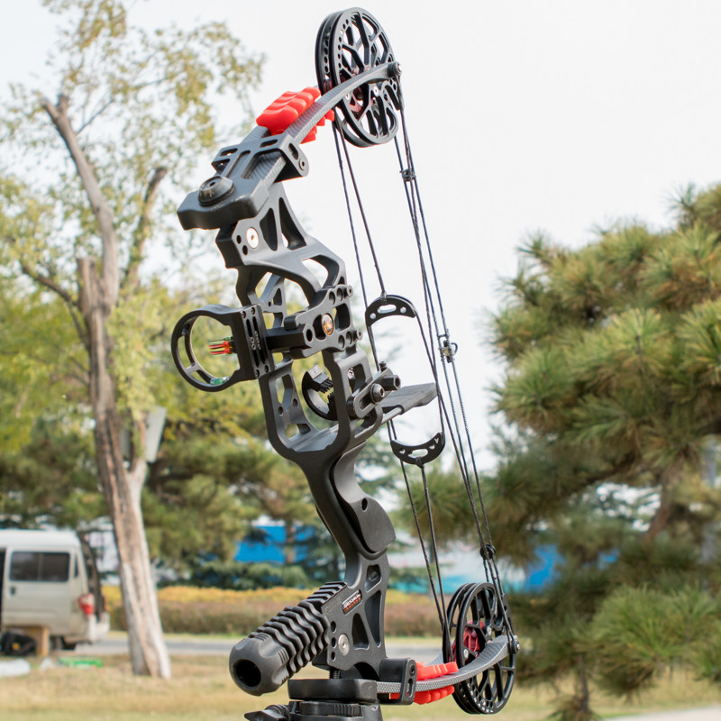 Junxing Falcon Archery Dual -use Delta Gang Bow Composite Bow Bow Arrow ...