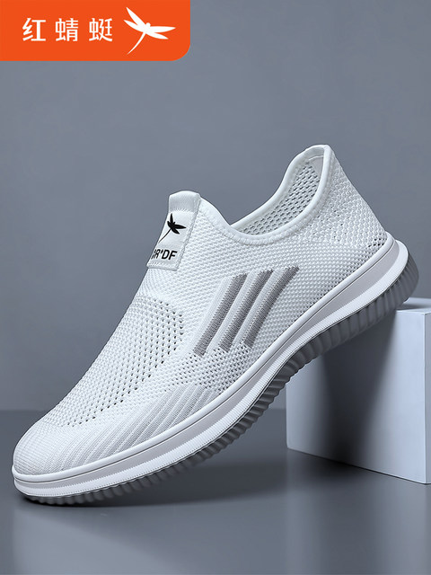 Red Dragonfly Men's Shoes New Summer Mesh Shoes Men's Hollow Breathable ...