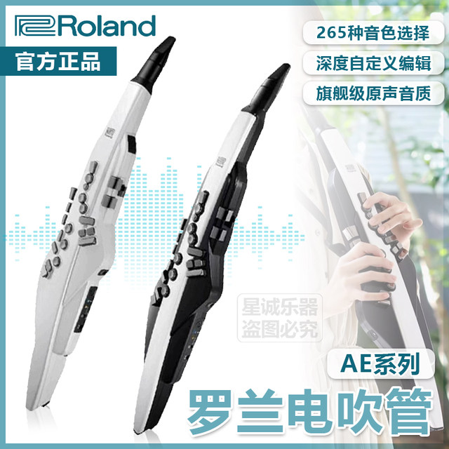 Roland Roland electric blower instrument AE20 elderly entertainment ...