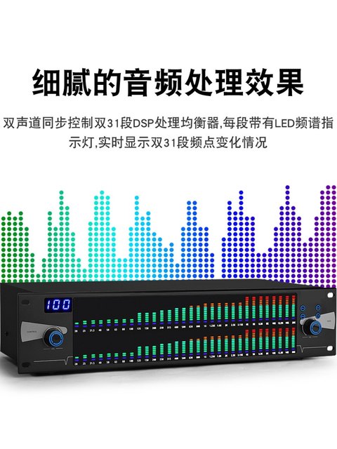 Professional dual 31-band equalizer
