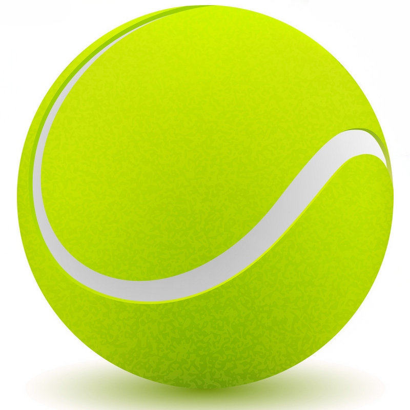 A1taan 8700 Polyester Tennis String - 1.10mm