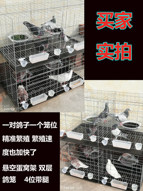 Qiangsheng Pigeon Cage Bold 2-Position 4-Position 6-Position Matching ...