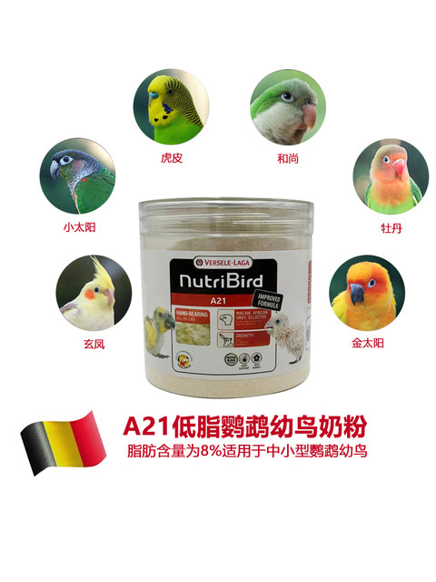 Belgian Versailles parrot milk powder low-fat hand-raised 0-day chicks ...