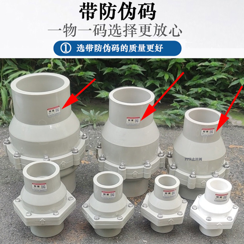 Former Star PPR Check Valve - DN100 (4 Inch) - Horizontal Gray
