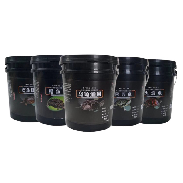 Turtle feed turtle grain, money, money, turtle grain, money, turtle ...