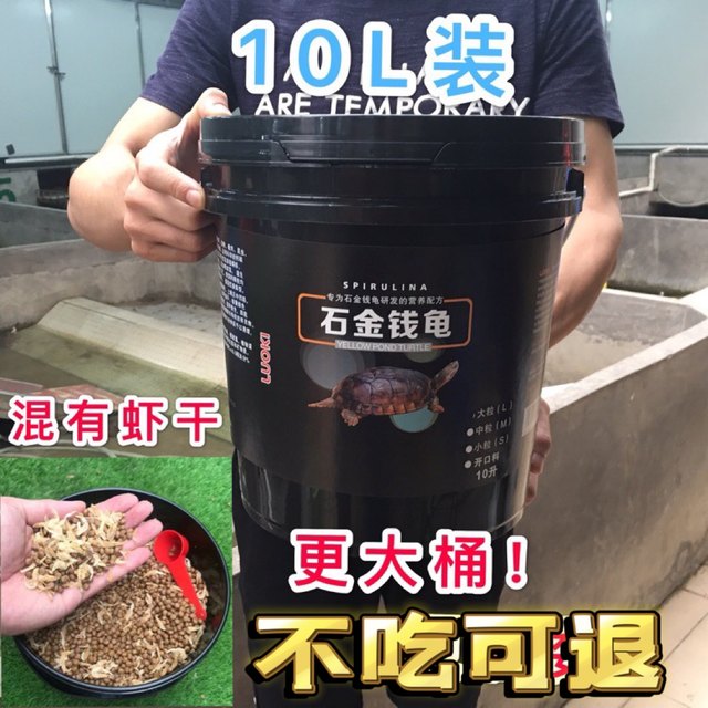 Turtle feed turtle grain, money, money, turtle grain, money, turtle ...