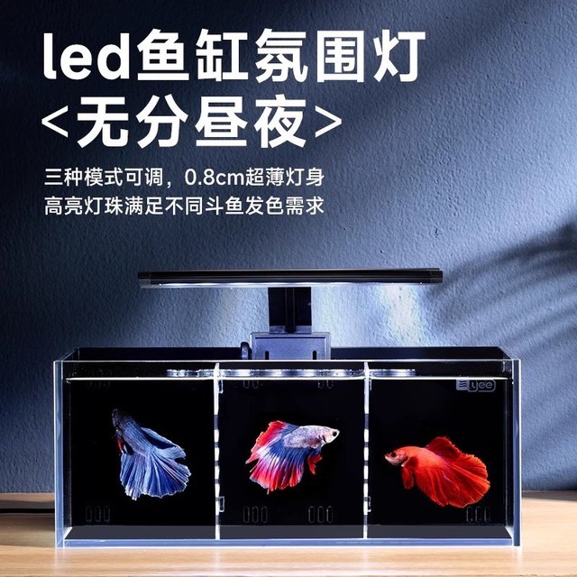 yee super white betta fish tank glass multi-grid isolation back filter ...