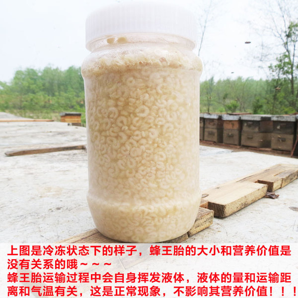 2023 fresh bee pupae, queen larvae | Ziang Maintainance