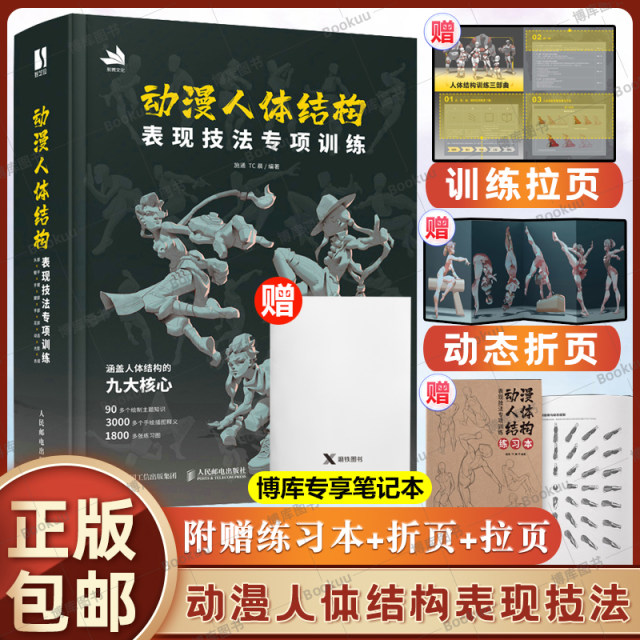 Animation human body structure expression technique special training ...