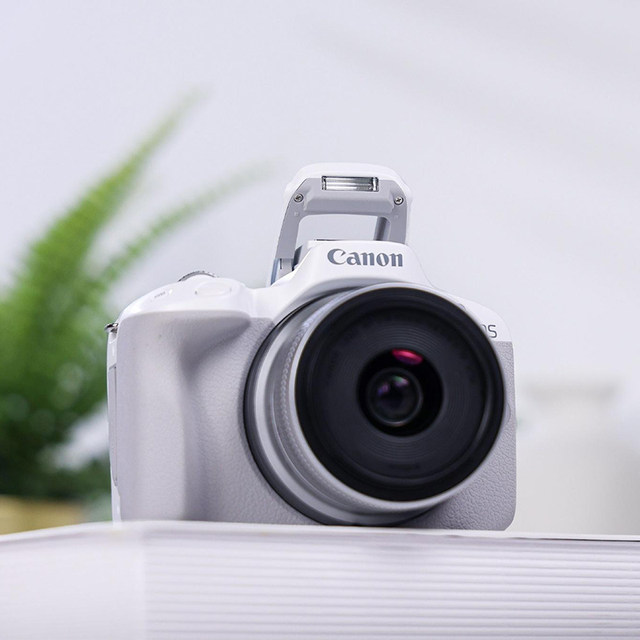 Canon/Canon EOSR50 Getting Started Half -Forms Micro Single Camera VLOG ...