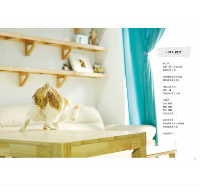 Taiwan version Cat feeding method breeding strategy knowledge ...