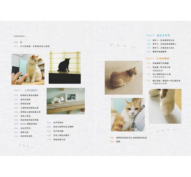 Taiwan version Cat feeding method breeding strategy knowledge ...