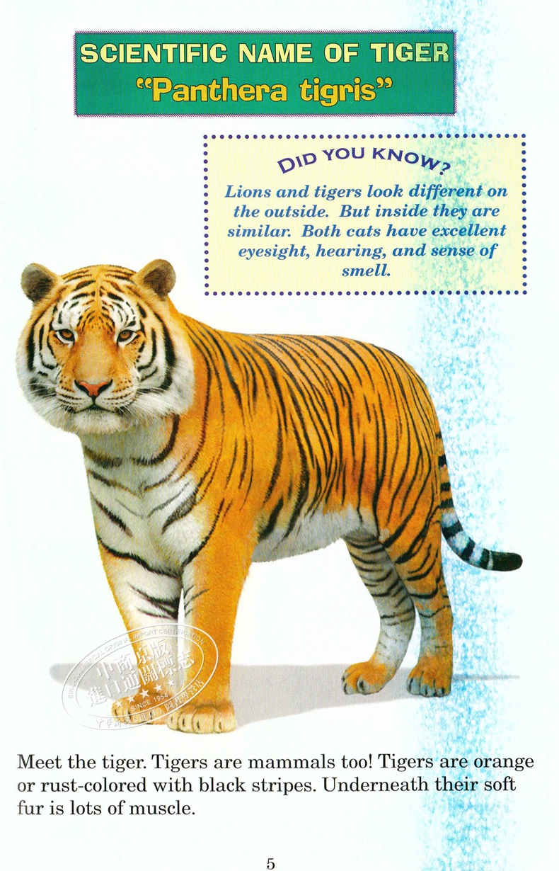 现货 学乐谁会赢系列？狮子与老虎 英文原版 Lion Vs. Tiger (Who Would Win?) 科普分级读物 Scholastic